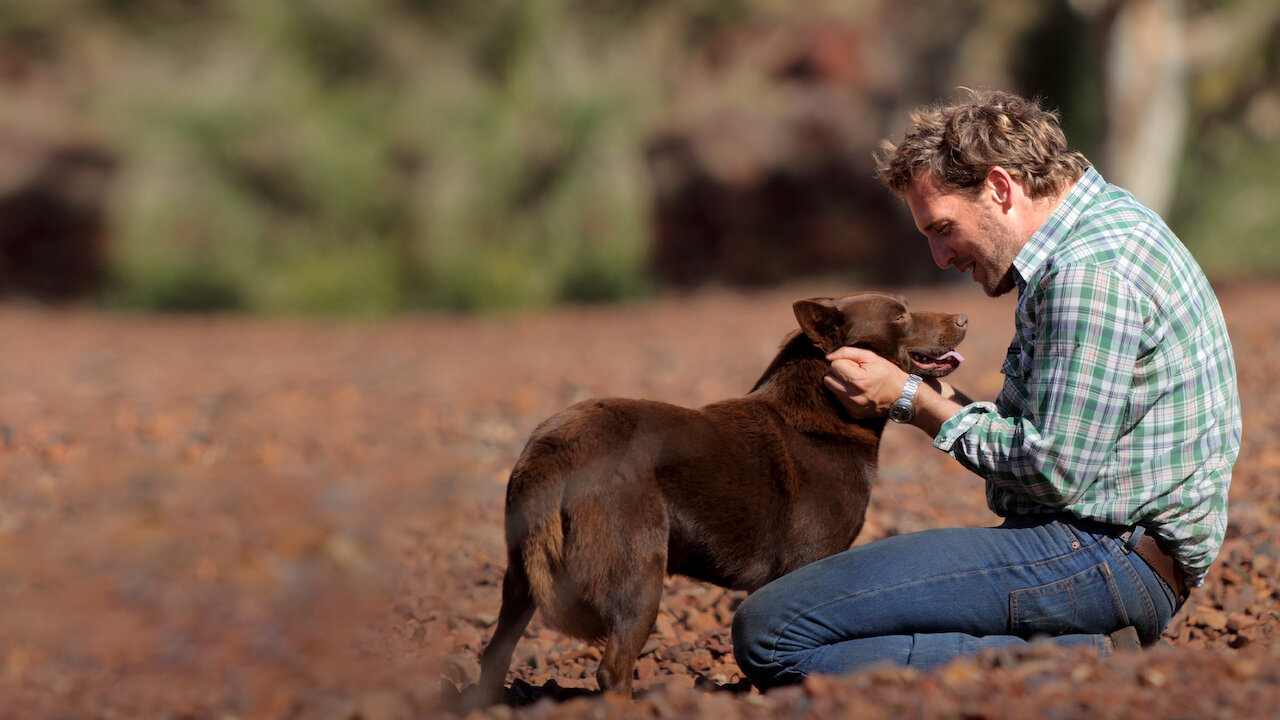 Watch Red Dog | Netflix