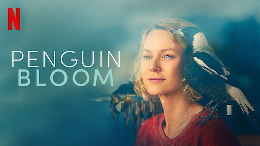 Watch Blue Miracle | Netflix Official Site