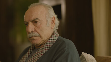 Watch The Writer | Netflix