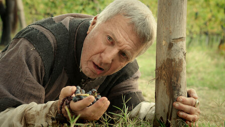 Watch Medici | Netflix Official Site