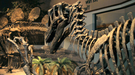 Watch Mystery Lab | Netflix Official Site