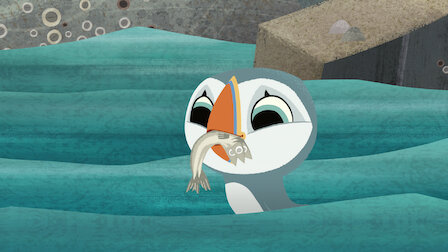 Watch Puffin Rock | Netflix Official Site