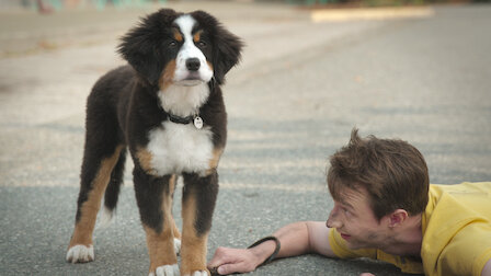 Watch Super PupZ | Netflix Official Site