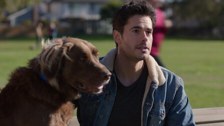 Watch Life Sentence | Netflix