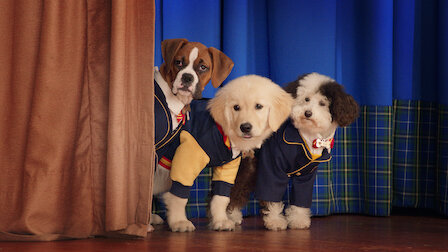 Watch Pup Academy | Netflix