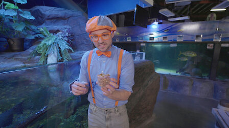 Watch Blippi | Netflix