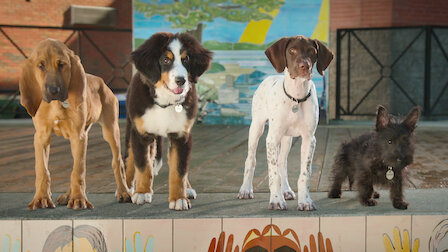 Supercães | Site oficial da Netflix