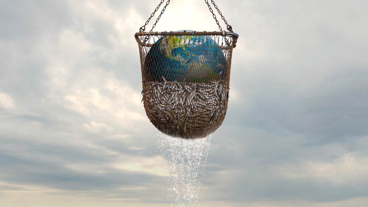 Watch Seaspiracy | Netflix Official Site