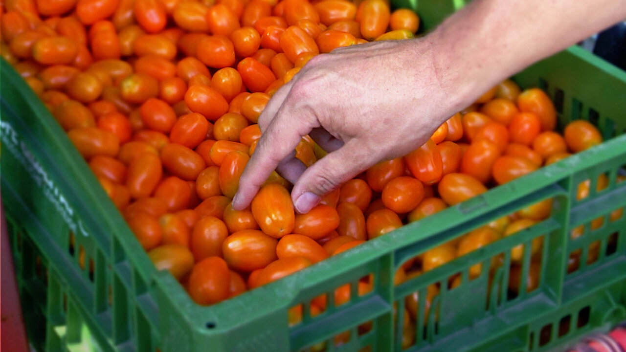 Watch Urban Farming | Netflix
