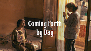 Middle Eastern Movies & TV | Netflix Official Site